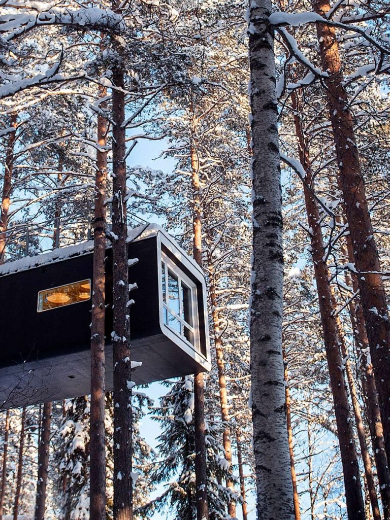 Treehotel: Suspended in tall pines above the forest floor - flowhotels